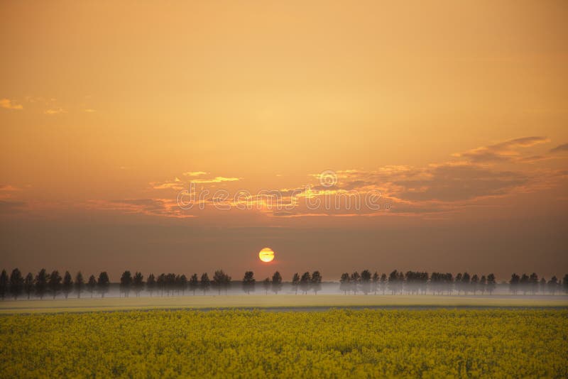 Looking Over a Rural Landscape Stock Image - Image of rapeseed, cole ...