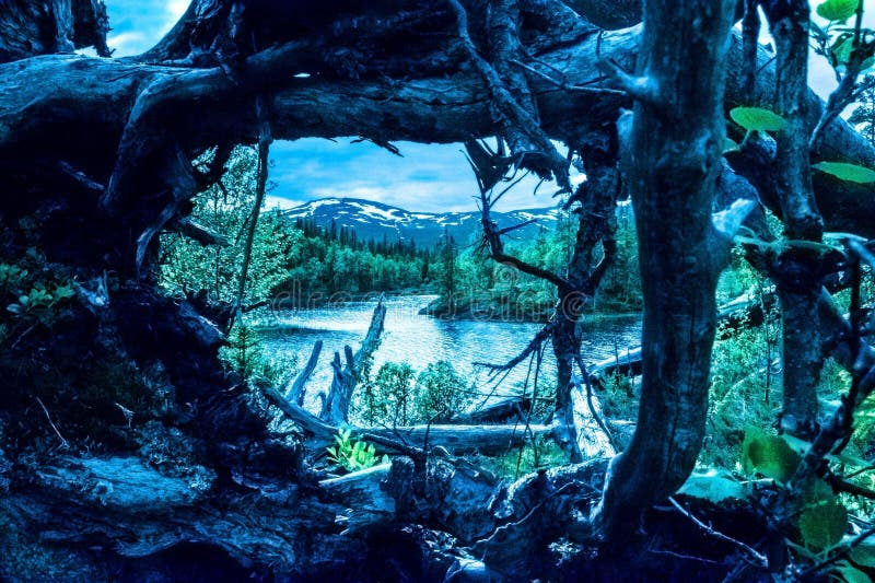 Looking At A Pond Through Some Dead Trees Lying Stock Image - Image of ...