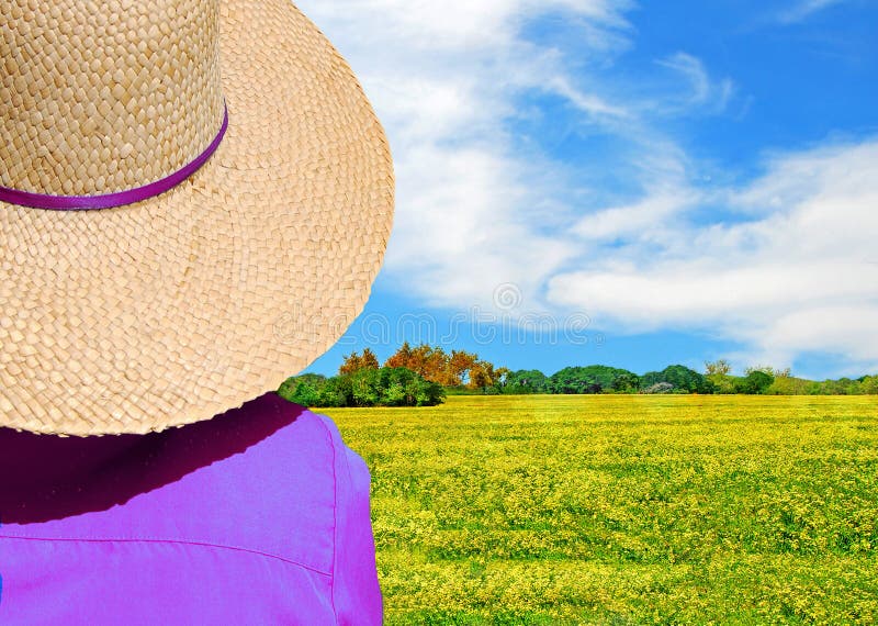 Looking at pretty field stock image. Image of agriculture - 5761669