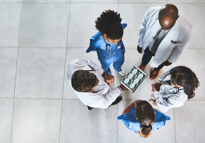Looking at the X Ray from Every Perspective. High Angle Shot of a Team ...