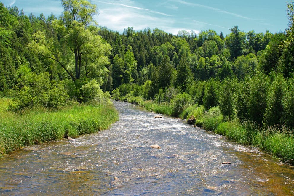 Looking at a River Downstream Stock Image - Image of nature, blue: 24417085