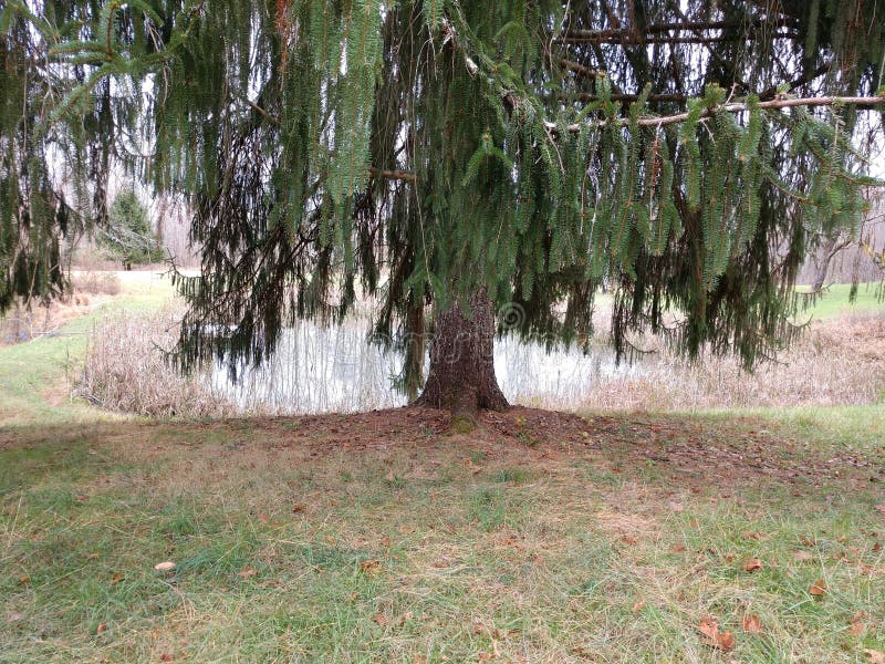 Outdoors of Harrison County WV in Fall Near the Pond Stock Image ...