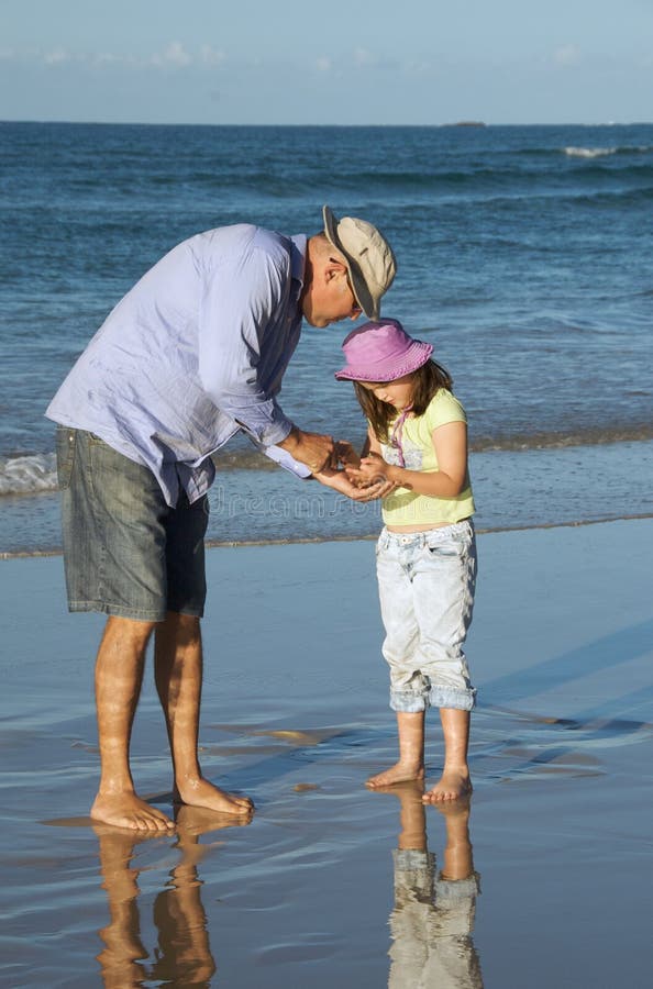 Looking for shells stock image. Image of beach, shells - 16646629