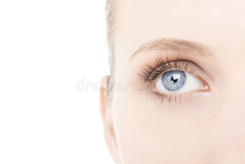 Protect the earth stock illustration. Illustration of color - 19421349