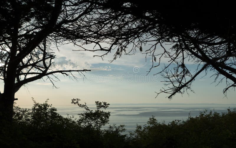 Looking at Sunset through Tree Branches from Dungeness Coastal Trail ...