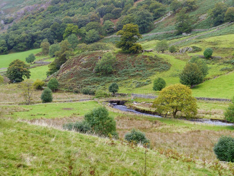 Looking To Bridge in Idyllic Setting Stock Image - Image of green ...