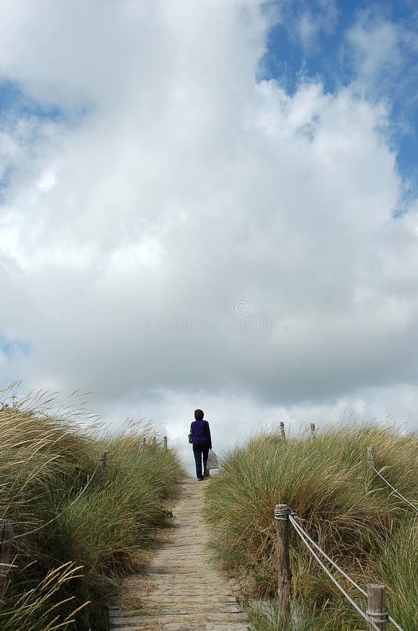 Looking to the future stock image. Image of contemplate - 9471813