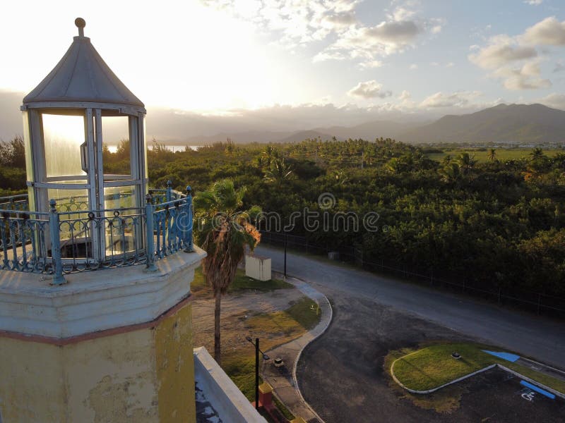 Looking Tower with a View of a Forest with Trees during Sunrise Stock ...