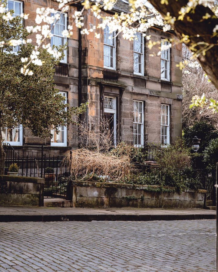 Looking at a Typical Edinburgh Building through Some Blooms Stock Photo ...