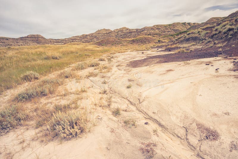 Looking Up at the Badlands of Drumheller Stock Image - Image of ...