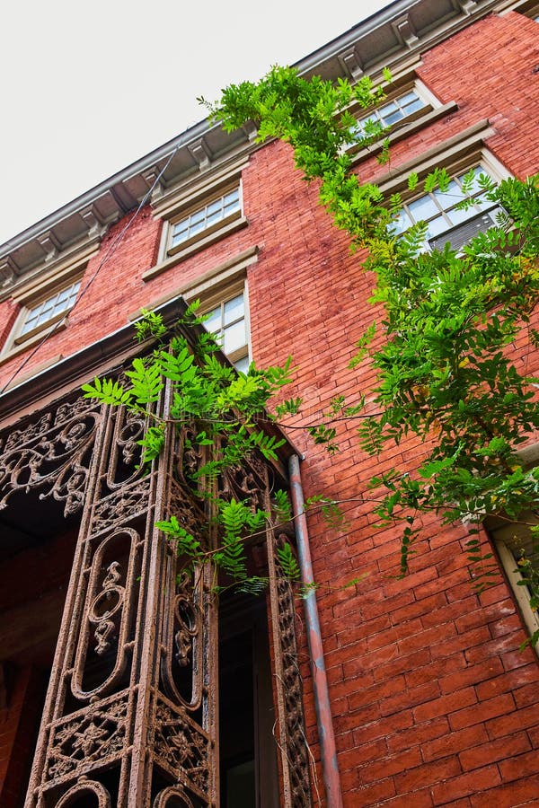 Looking Up Brick Building with Green Ferns Growing Around Wire Stock ...