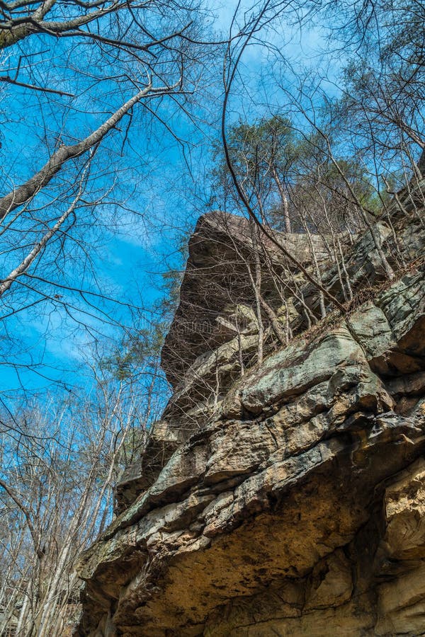 Looking up at a cliff stock photo. Image of looking - 201682962