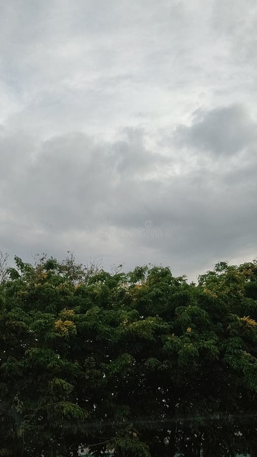 When Looking Up at the Cloudy and Shady Sky Stock Image - Image of ...