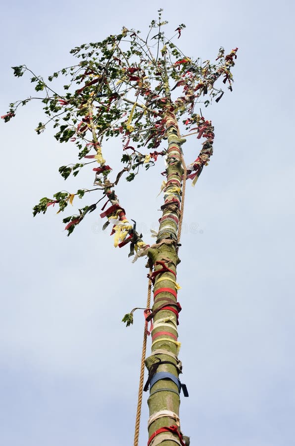 Looking up at may pole stock image. Image of tree, wooden - 40604565