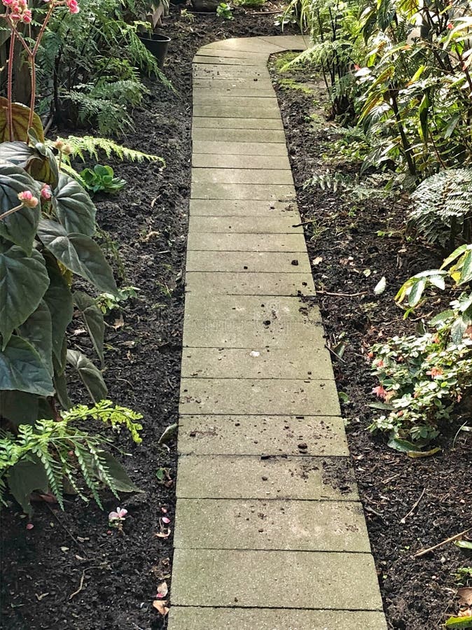 Paved path in a garden stock image. Image of autumn, garden - 23569287