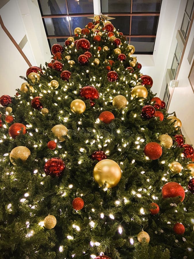 Looking Up at Red and Gold Bulbs on Tall Indoor Christmas Tree Stock ...
