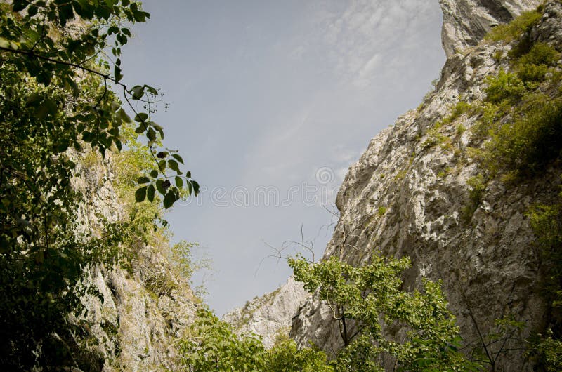 Ravine Covered Brush Stock Photos - Free & Royalty-Free Stock Photos ...