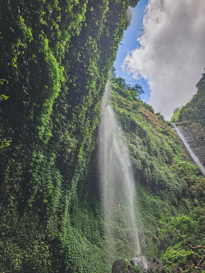 Looking Up a Stream of Falling Water Stock Photo - Image of mountain ...