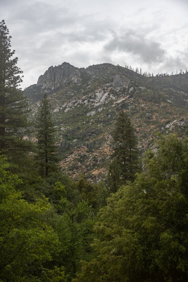 Looking Up To Rocky Cliffs and Thunder Storm from the Tree Filled ...