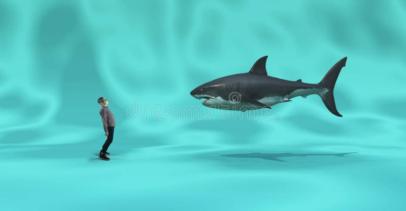 Looking up to a shark stock image. Image of greeting - 163622309