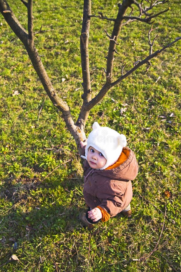 Looking Up a Tree stock photo. Image of clothes, grass - 5171648