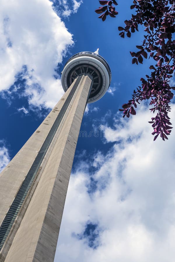 Looking Up editorial image. Image of attraction, vertical - 60449940