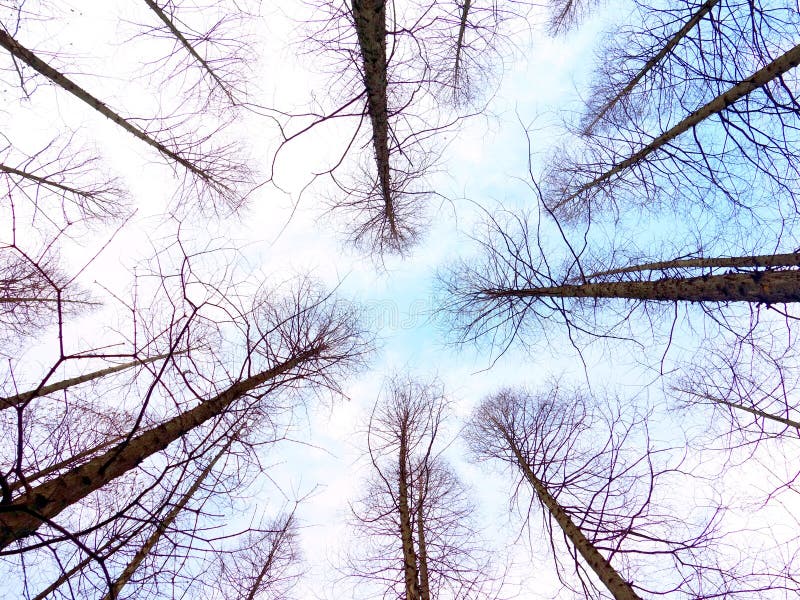 Feelingforest Stock Photos - Free & Royalty-Free Stock Photos from ...