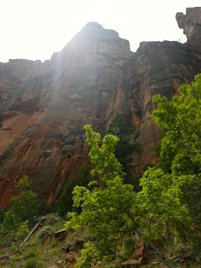 Looking Up in Zion National Park, Utah Stock Image - Image of cliffs ...