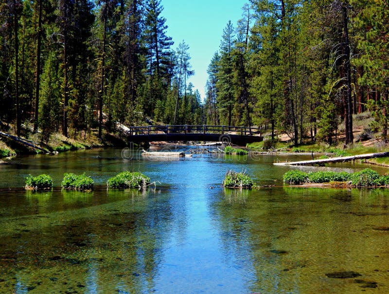 Fall River stock photo. Image of south, whitewater, river - 92794558