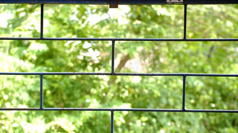 Rusty Blue Ancient Window Trellis Stock Image - Image of natural ...