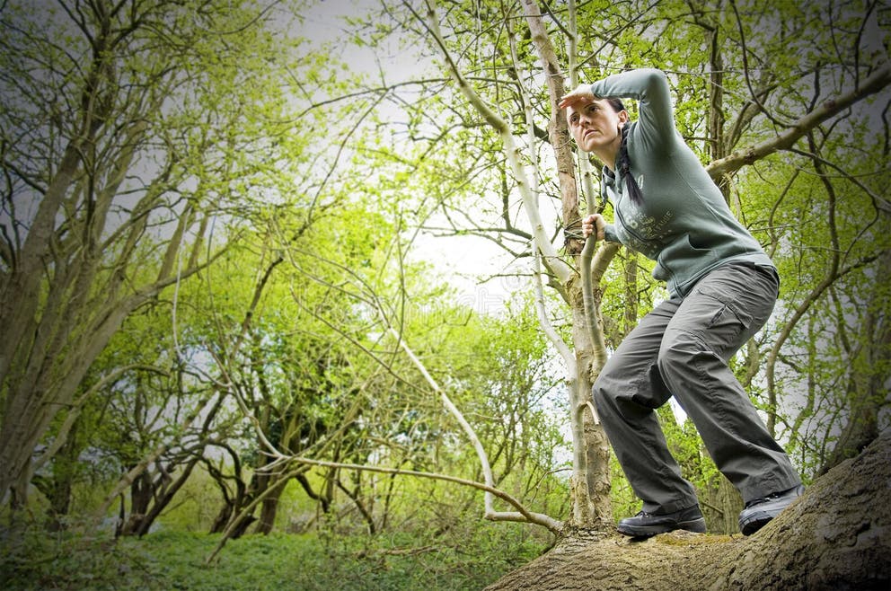 On the lookout stock photo. Image of hand, activity, landscape - 24385974