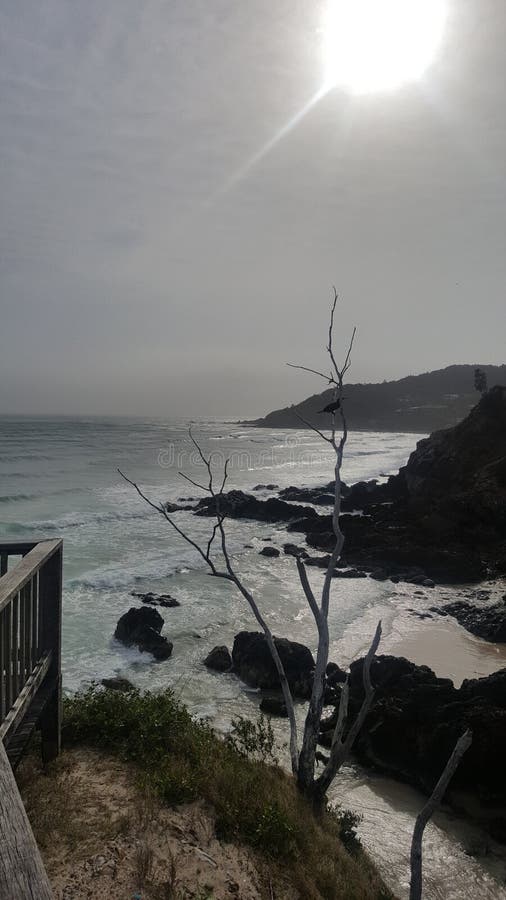 Lookout at Byron Bay stock image. Image of tree, beautiful - 93462529