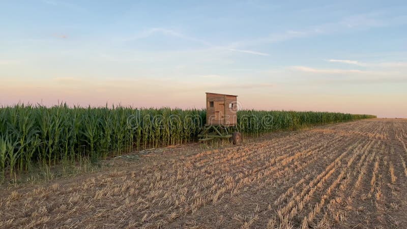 Lookout Tower between Corn Field and Empty Field after Harvesting Stock ...
