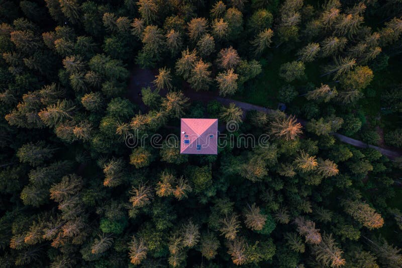 A Lookout Tower in the Middle of the Forest Stock Image - Image of ...
