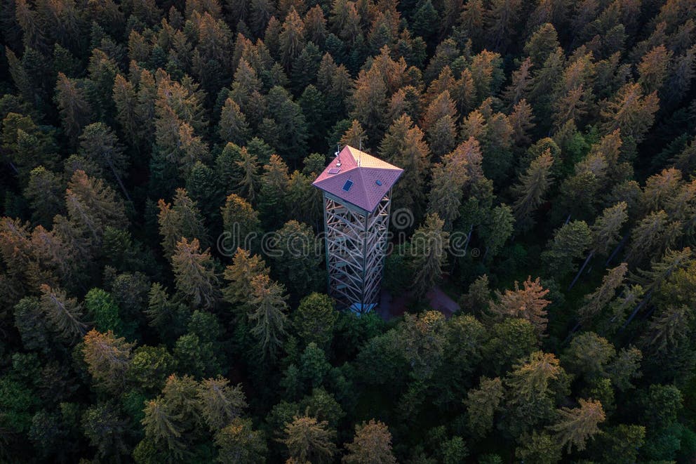A lookout tower stock photo. Image of season, wildlife - 267059464