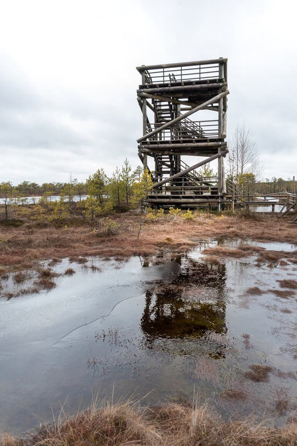 .a Lookout Tower Reflected in the Swamp Water Stock Photo - Image of ...