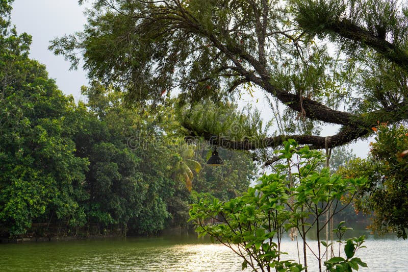 The Sun Visible between the Gaps in the Leaves Stock Image - Image of ...