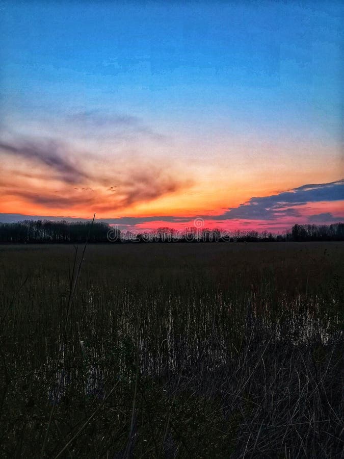 Looks like a burning sky stock photo. Image of looks - 224905552