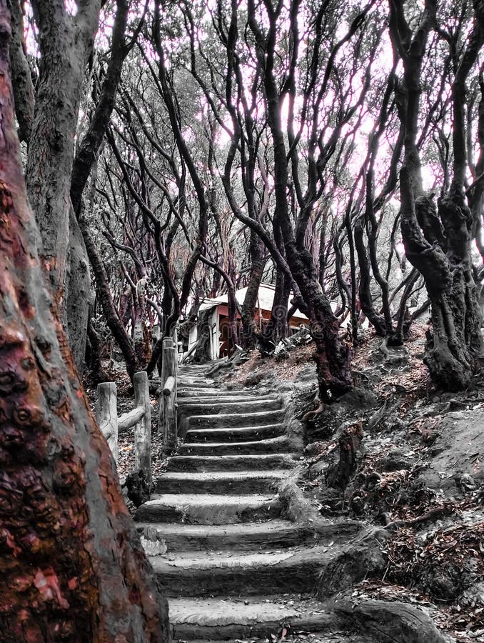 It Looks Scary Going Down the Path To Get To an Old Cottage Stock Image ...