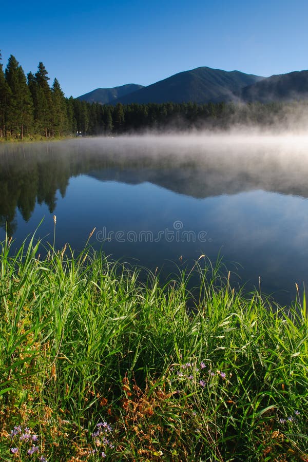 Loon Lake BC stock image. Image of lakes, mist, kananaskis - 36321593