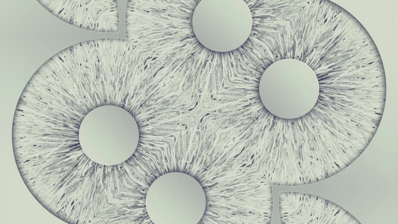 Loop Animation of a Pattern of Circles and Floating Lines in White. 3d ...