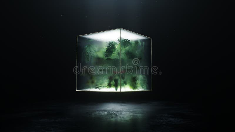 Loop an Enchanting Aquatic Ecosystem Displayed Beautifully within a ...