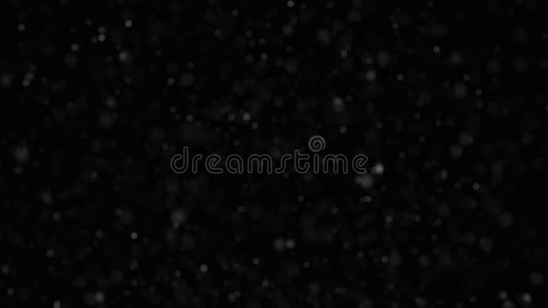 Loop Falling Black and White Dust Particles Abstract Stock Footage ...