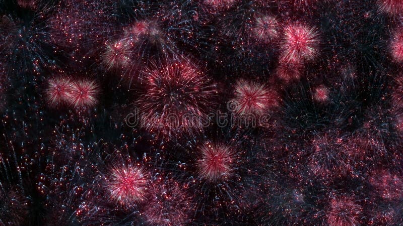 Loop Firework Particles Animation Abstract Background Stock Footage ...