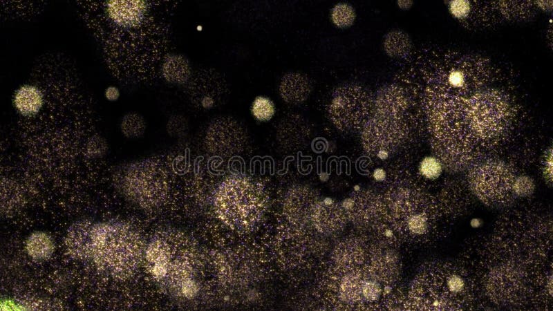 Loop Firework Particles Falling Down Animation on Black Abstract ...