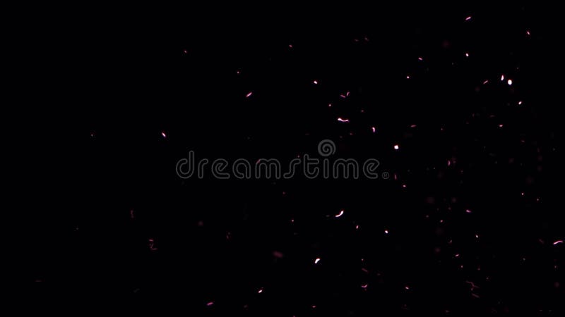 Loop Flow Up White Dust Particles Animation Abstract Background Stock ...