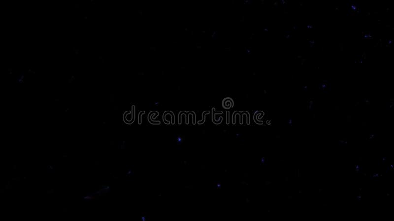 Loop Glow Blue Star Particles Flow on Black Background Stock Video ...