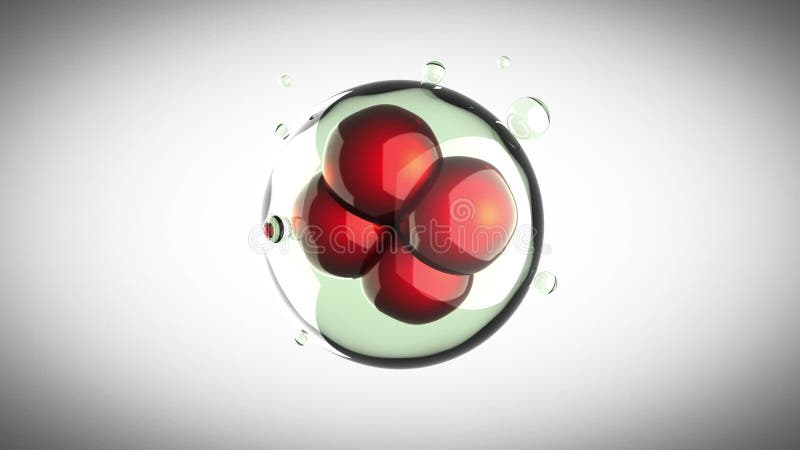 Cell Division is Rapid and Synchronous As the Blastocyst Grows in Size ...