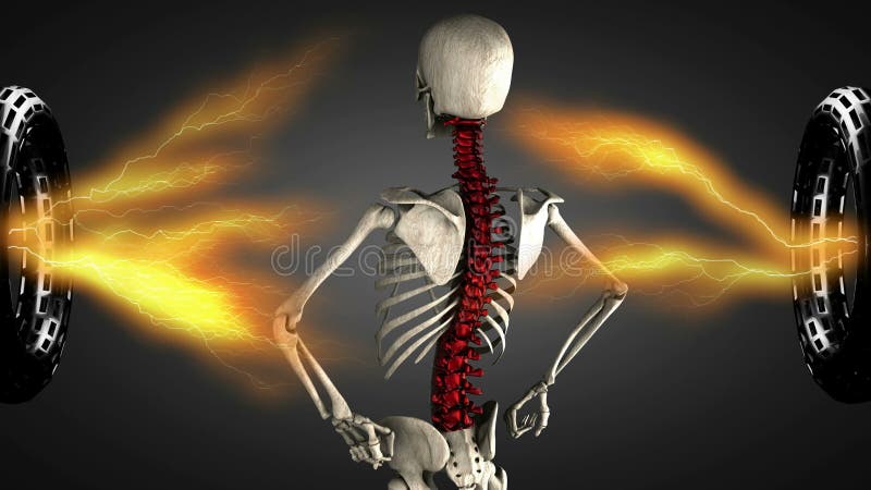 Rotate Skeleton Stock Footage & Videos - 169 Stock Videos