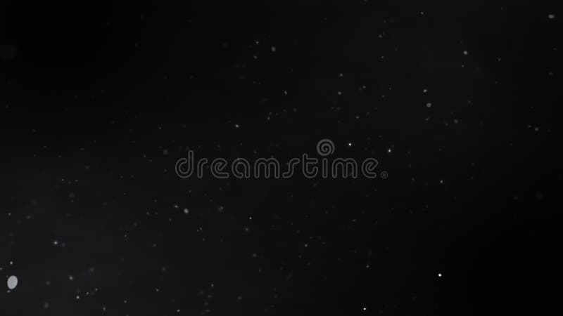 White Dust Particles Isolated on Black Background Stock Footage - Video ...
